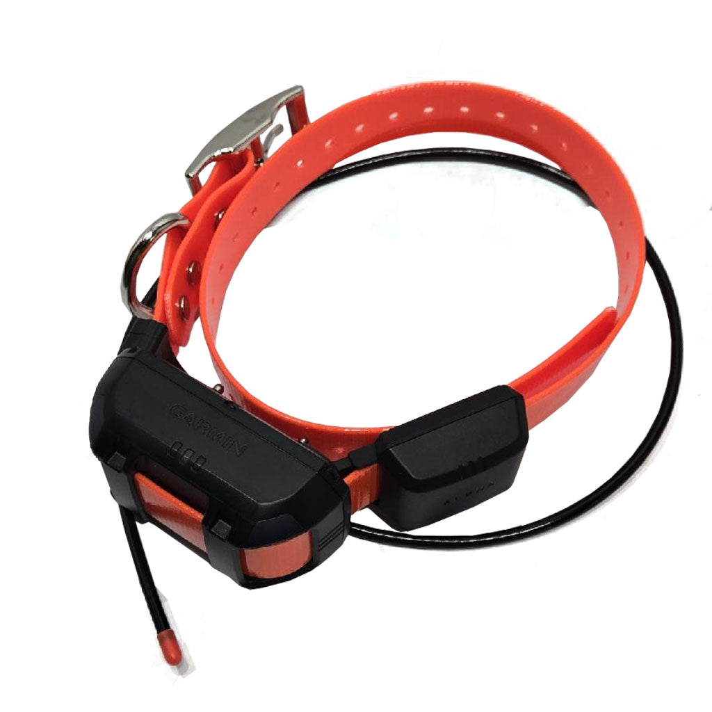 Garmin TT25 Mini Dog Collar | Compact, LED, 68-Hour Battery, Training