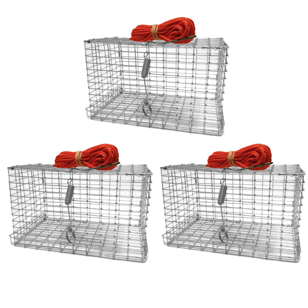 Bird Training Cage For On-Demand Release