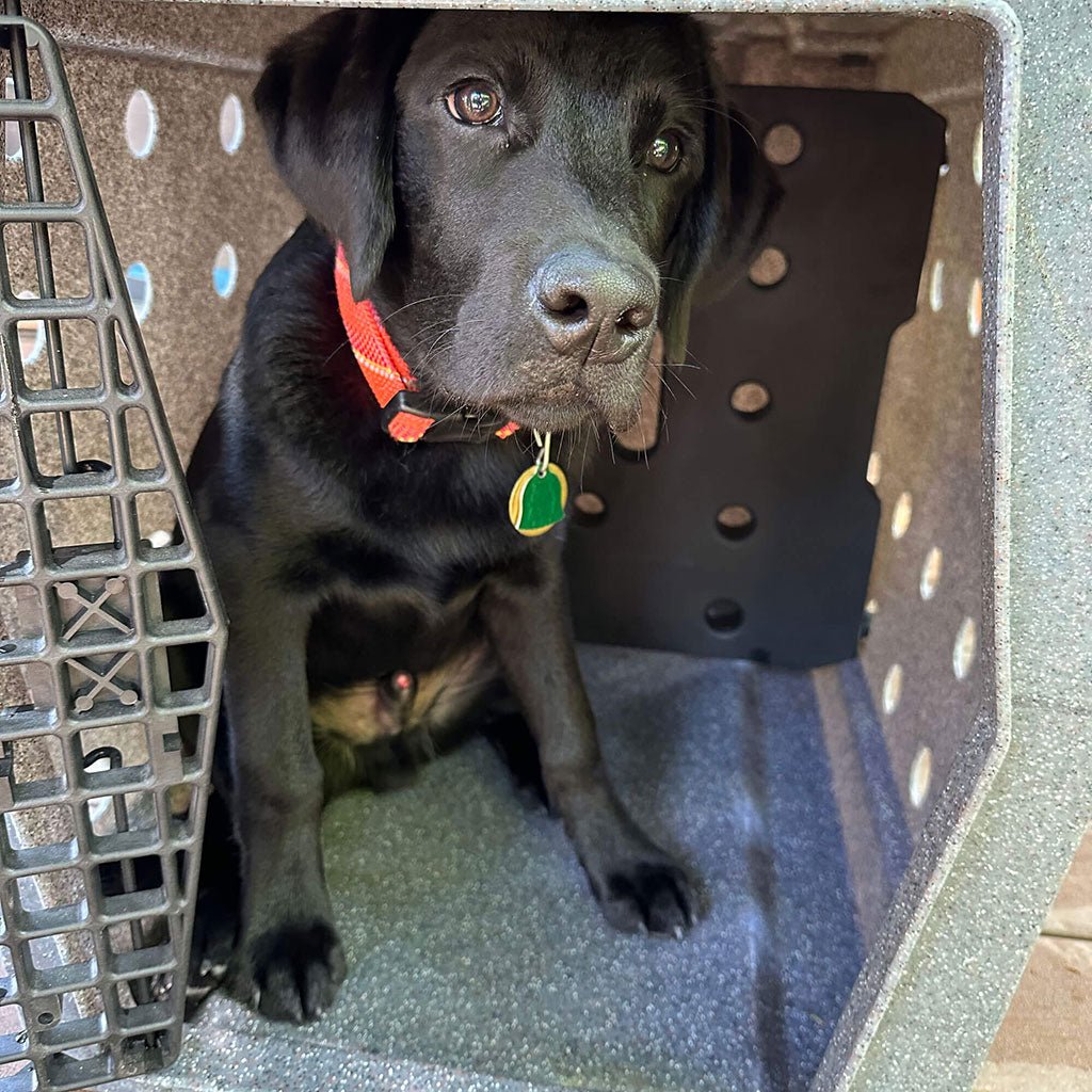 Ruff Land Kennels Divide and Conquer Kennel Divider