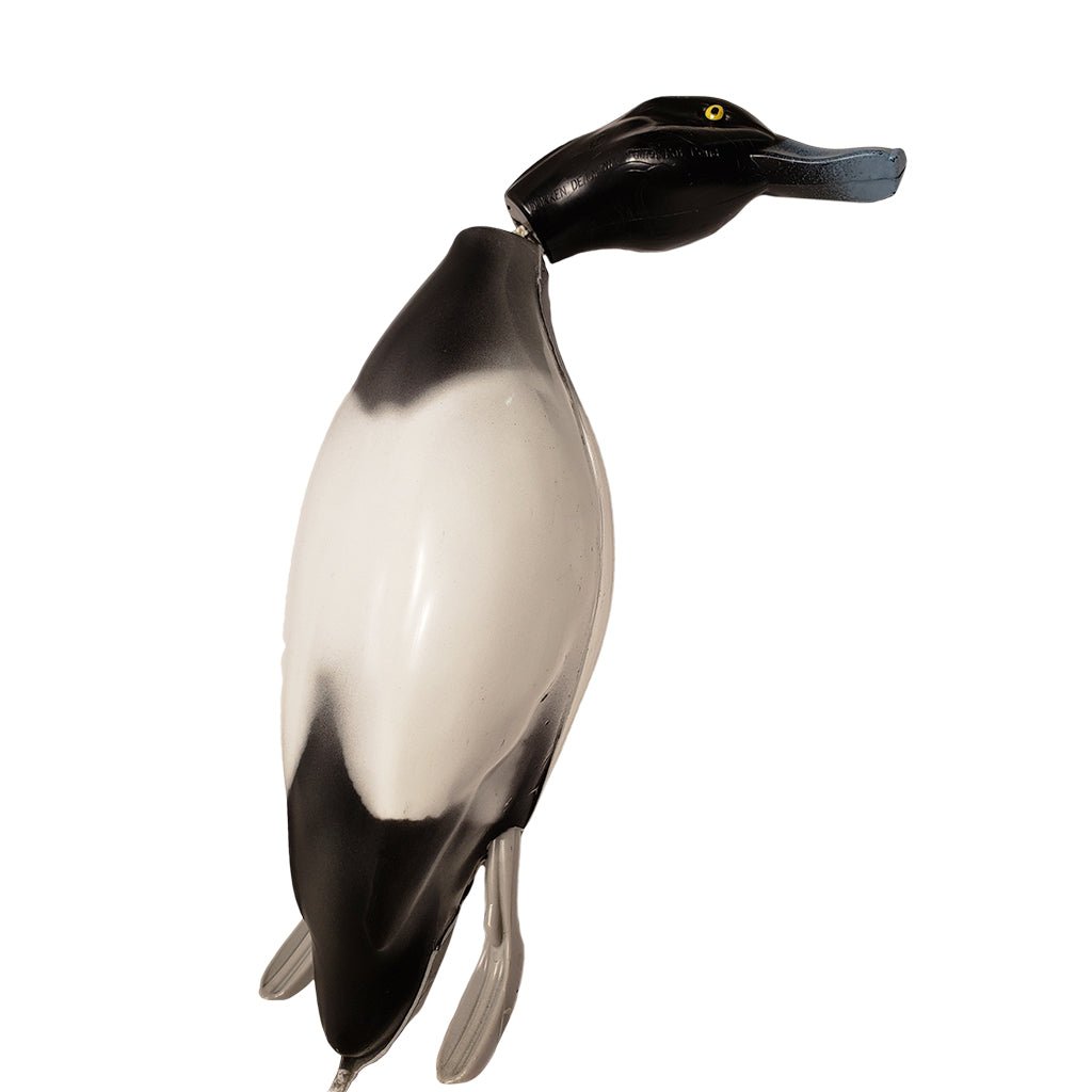 Dead Fowl Blue Bill