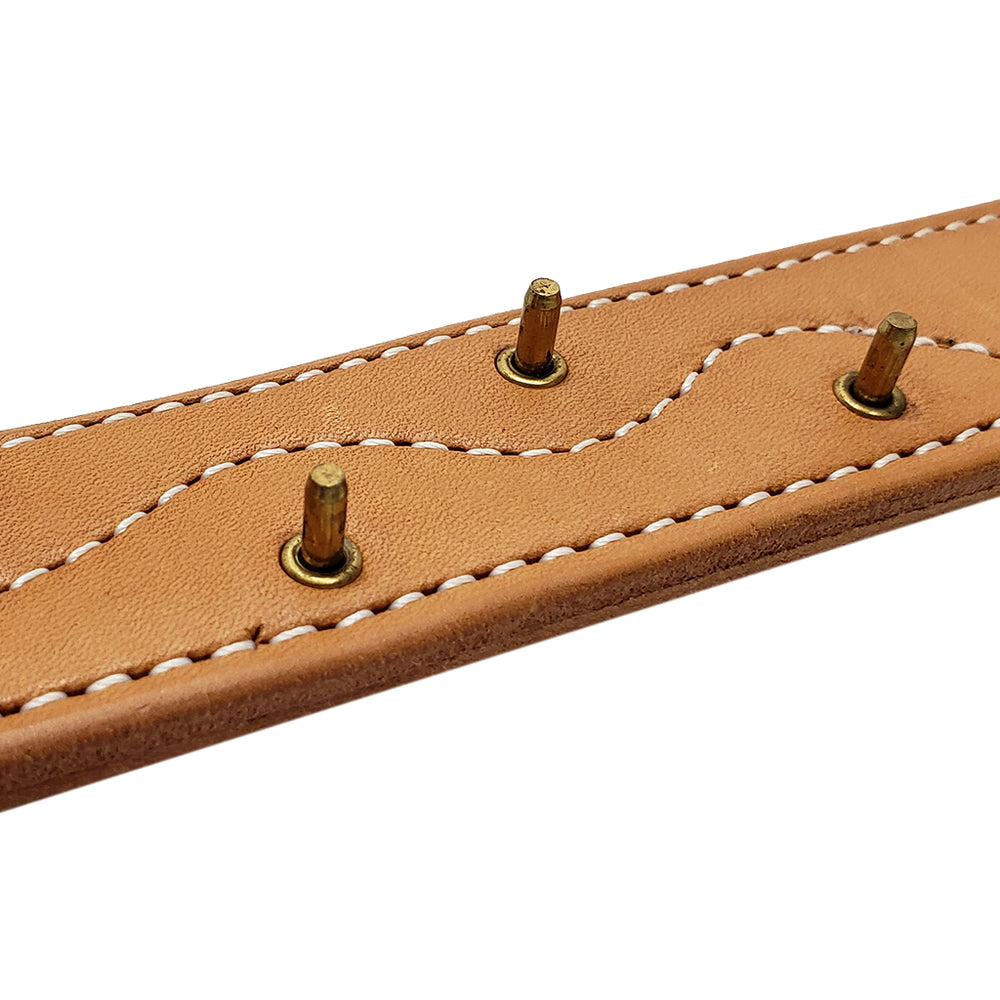 JASA Force Collar & Professional Training Collar