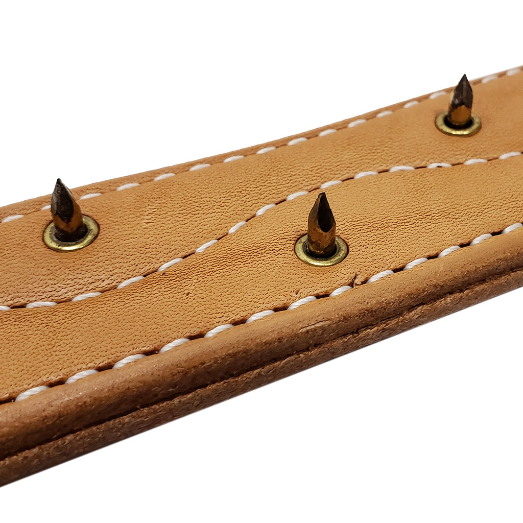 JASA Force Collar & Professional Training Collar