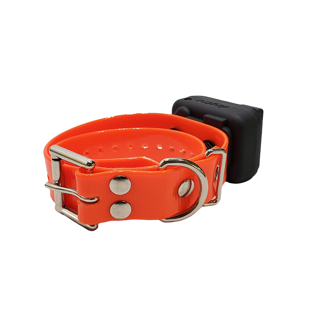 Dogtra STB Beeper Collar | Waterproof Beeper Collar
