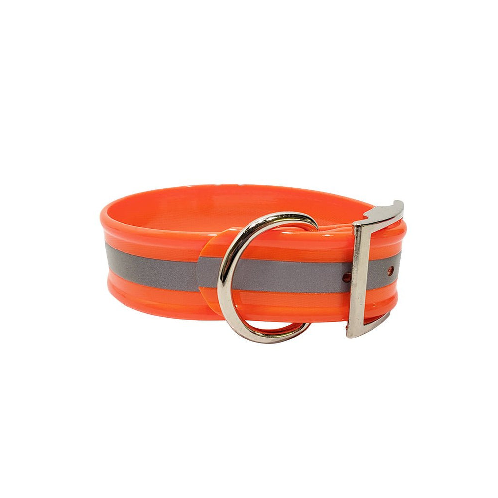 LCS Reflective Dayglo 1 1/2 Wide Dog Collar O-ring