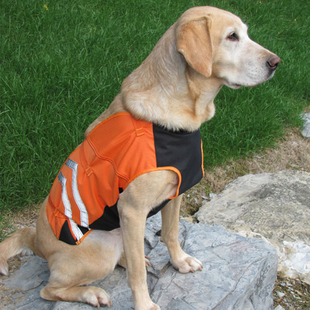 LCS Bird Dog Armor Vest 2 | Hunting Dog Armor