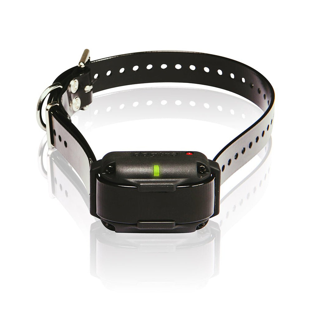 Dogtra Edge RT E-Collar System | 1-Mile Range & Waterproof Design