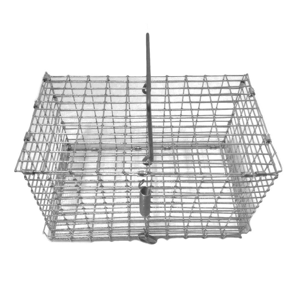 Bird Training Cage For On-Demand Release