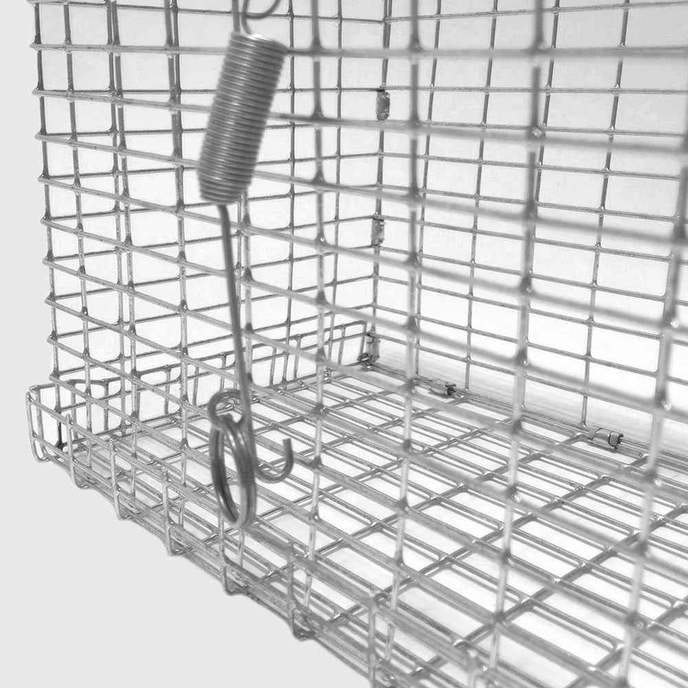 Bird Training Cage For On-Demand Release