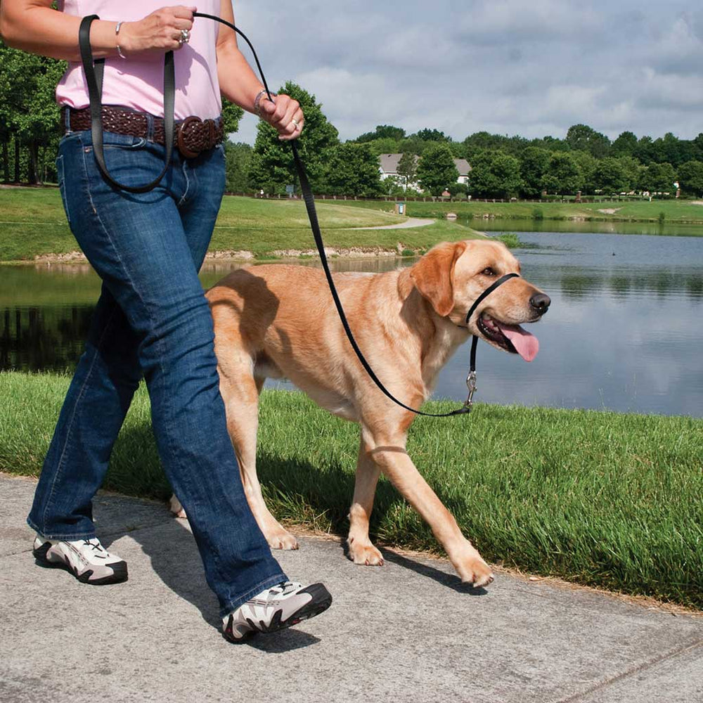 Petsafe Gentle Leader Headcollar Quick Release