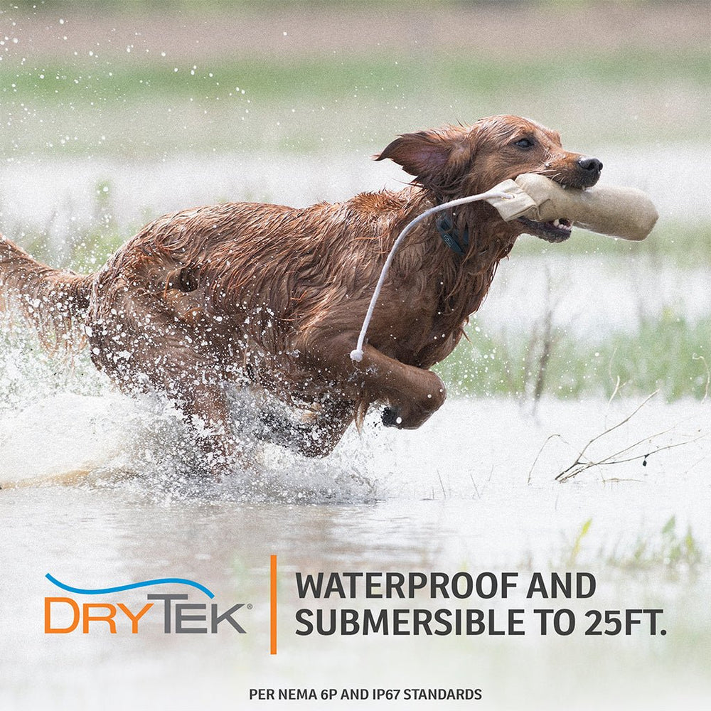 SportDOG 425 X-Series | E-Collar Training System