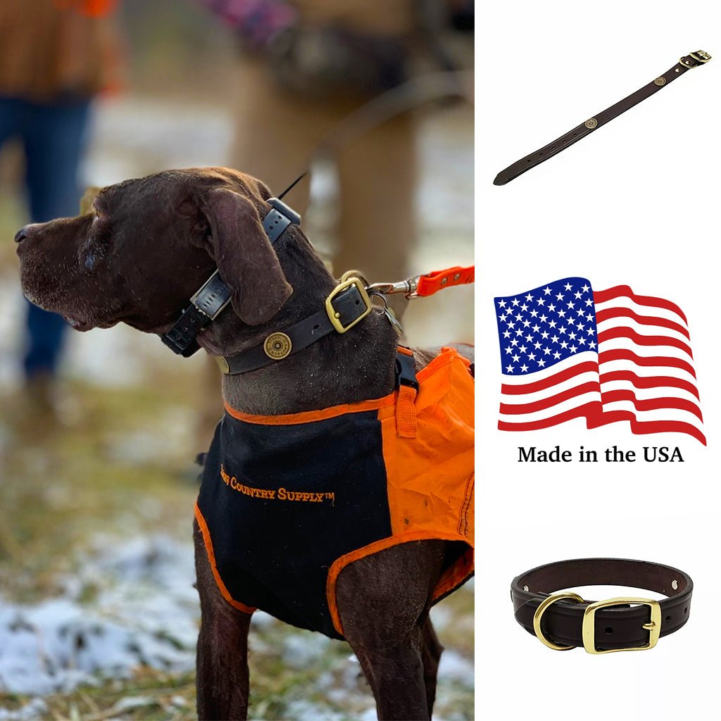 Lion Country Supply Leather Shotshell Dog Collar